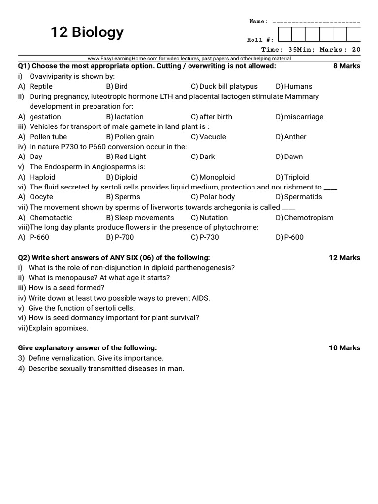 Chapter 18 Test | PDF