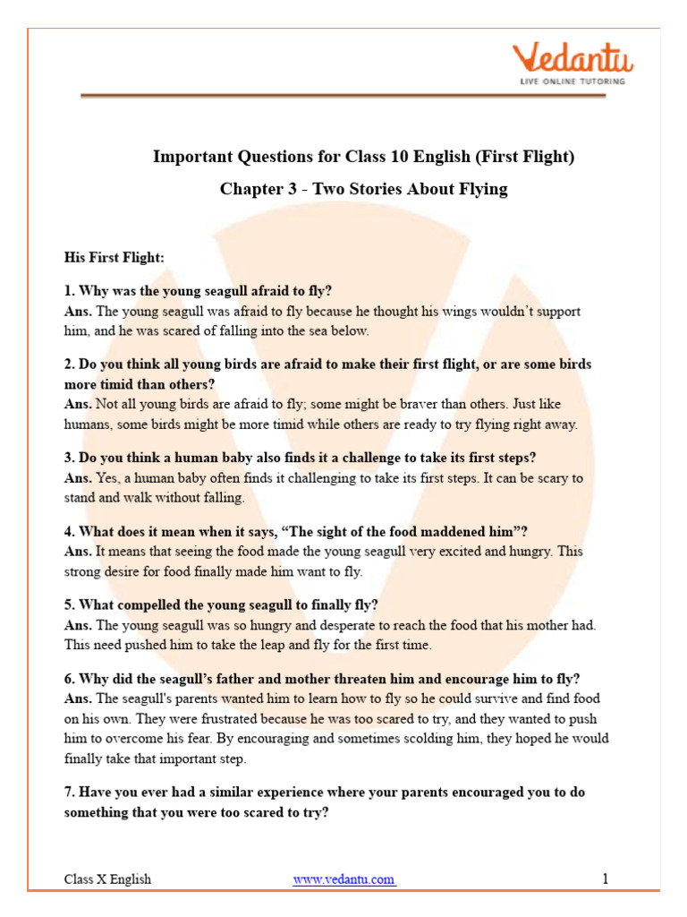 Overcoming Fear: The Young Seagull's Flight | PDF | Courage | Fear