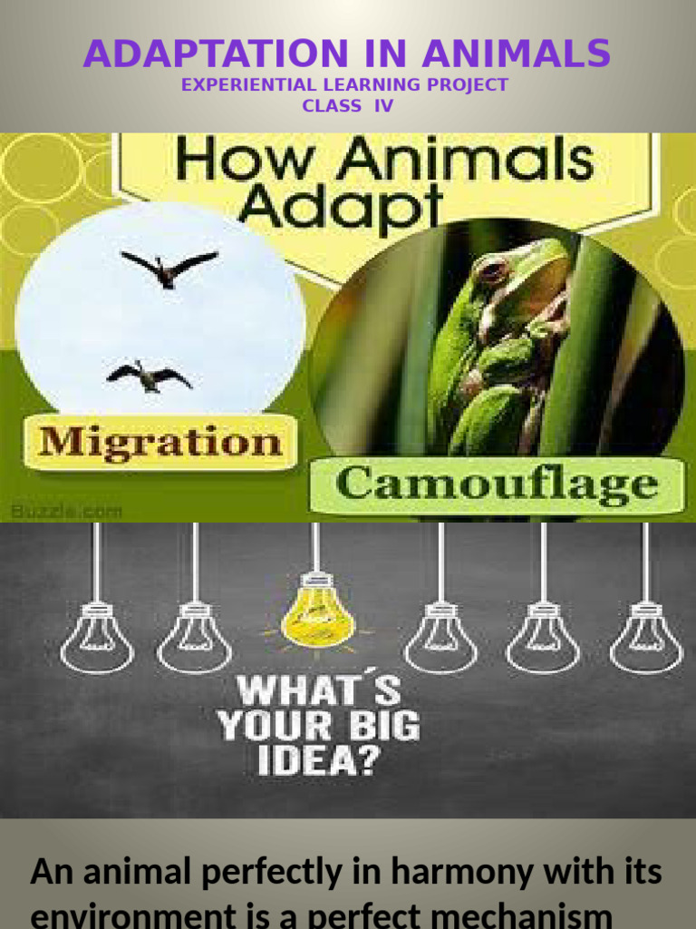 Adaptation In Animals Pdf