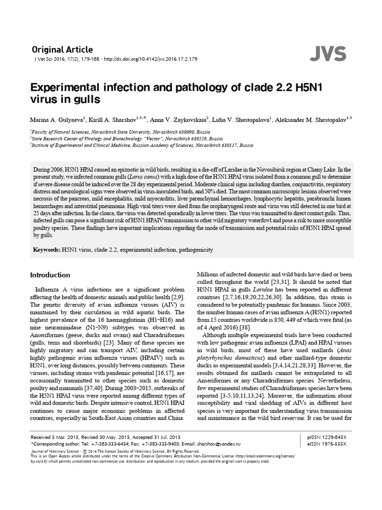 Experimental Infection and Pathology of Clade 2.2 H5N1 Virus in Gulls ...