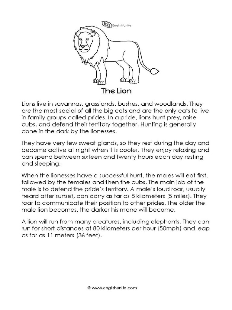 Lion | PDF