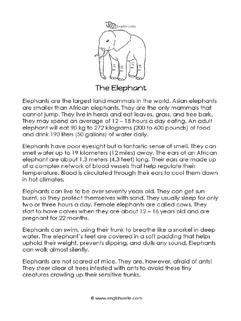 Elephant | PDF