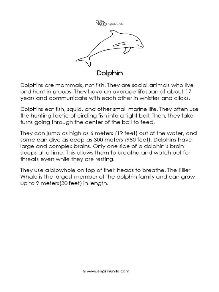 Dolphin | PDF