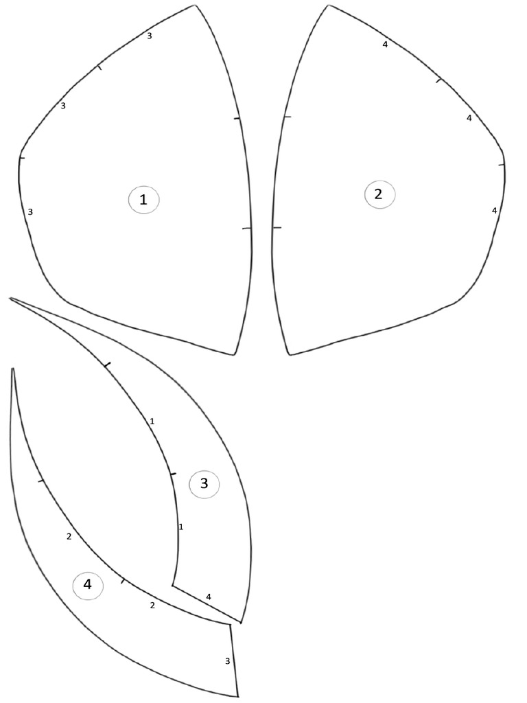 Shoulder | PDF