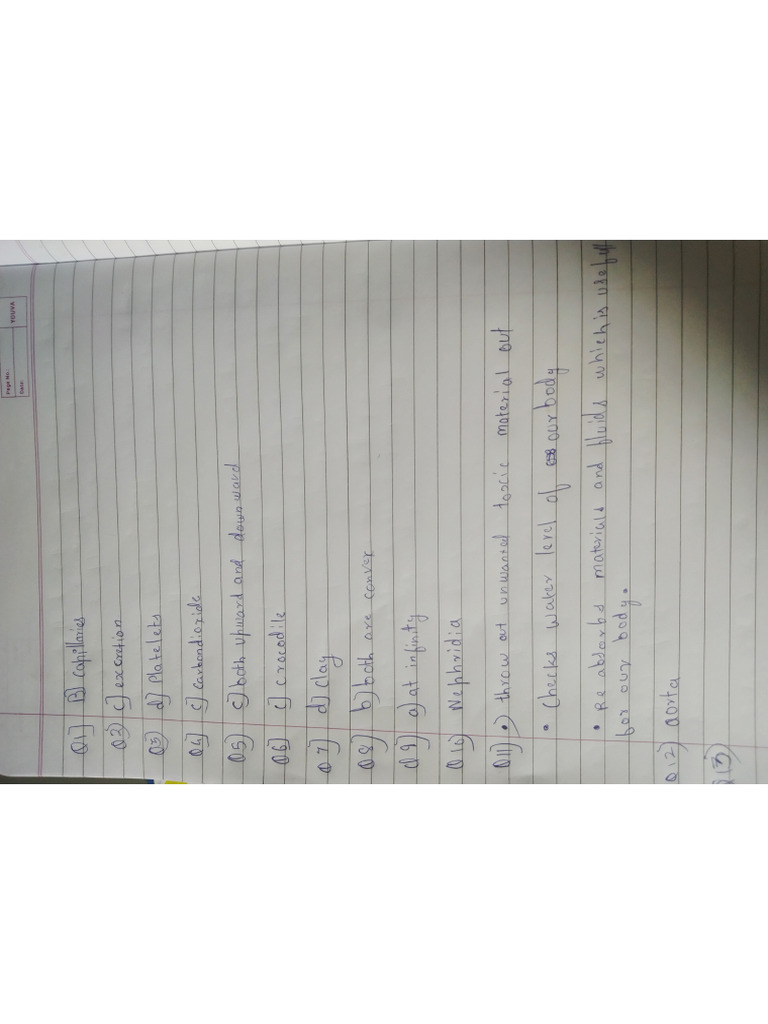Science Testing | PDF