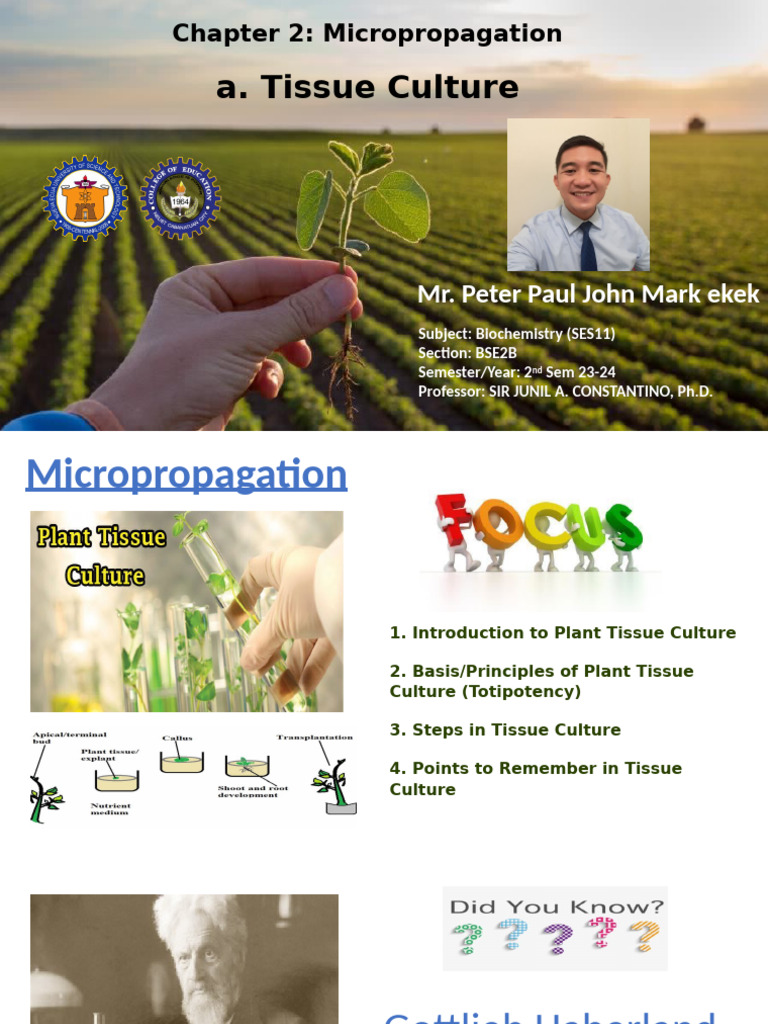 Sample-Format-PPT | PDF | Botany | Cell Biology