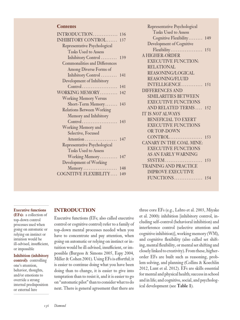 Executive Functions (Glissé (E) S) 2 | PDF | Executive Functions | Working Memory