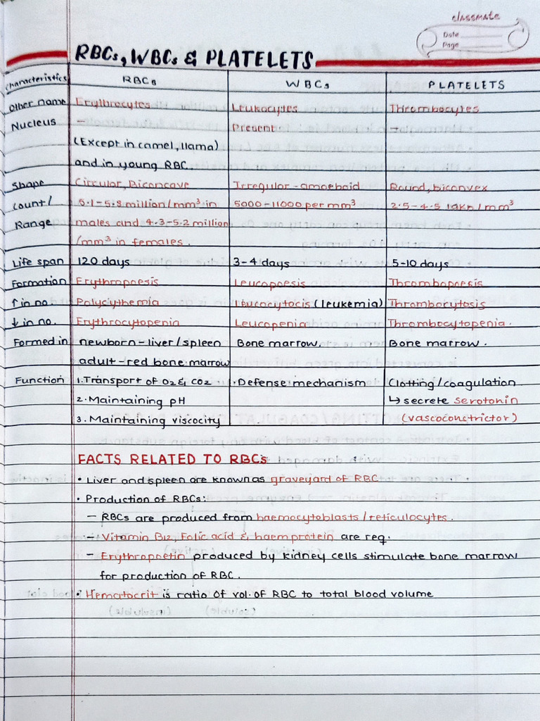 12th - Blood Notes | PDF | Granulocyte | Biology