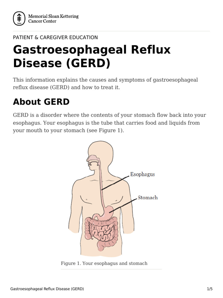 Gastroesophageal Reflux Disease Gerd | PDF | Gastroesophageal Reflux ...