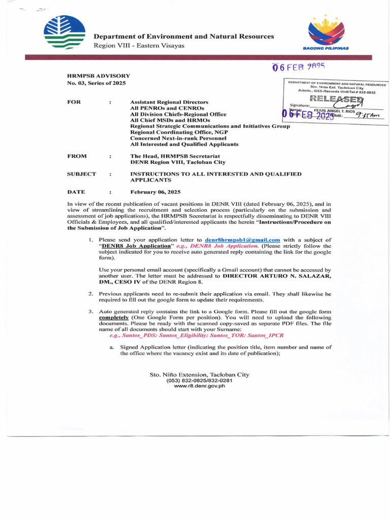 DENR VIII Job Application Instructions | PDF
