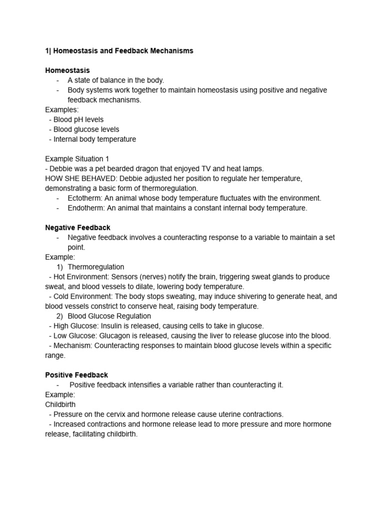 Homeostasis: Feedback Mechanisms Explained | PDF | Homeostasis ...