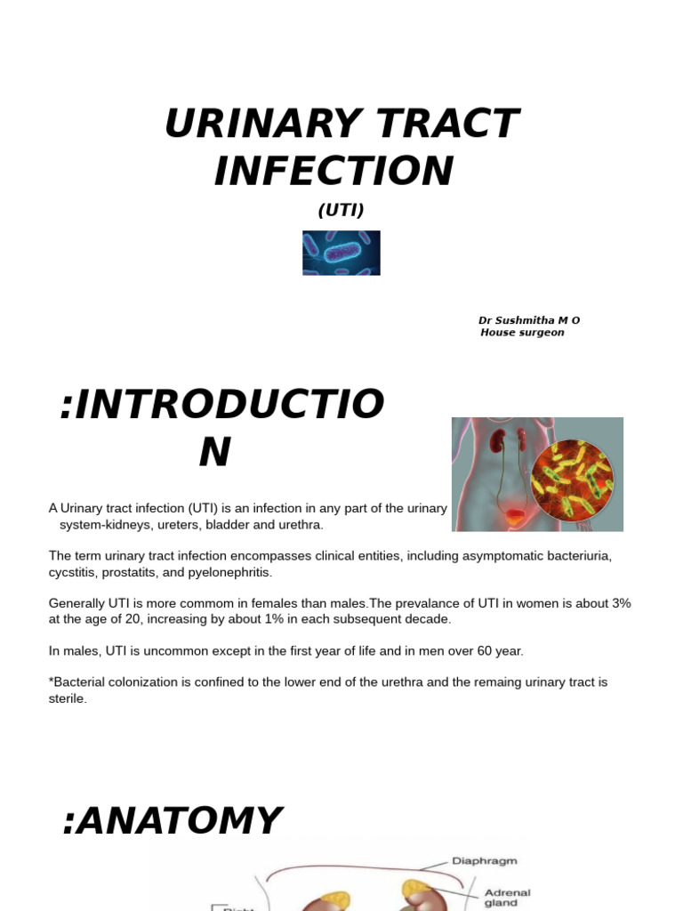 Understanding Urinary Tract Infections | PDF | Urinary Tract Infection ...