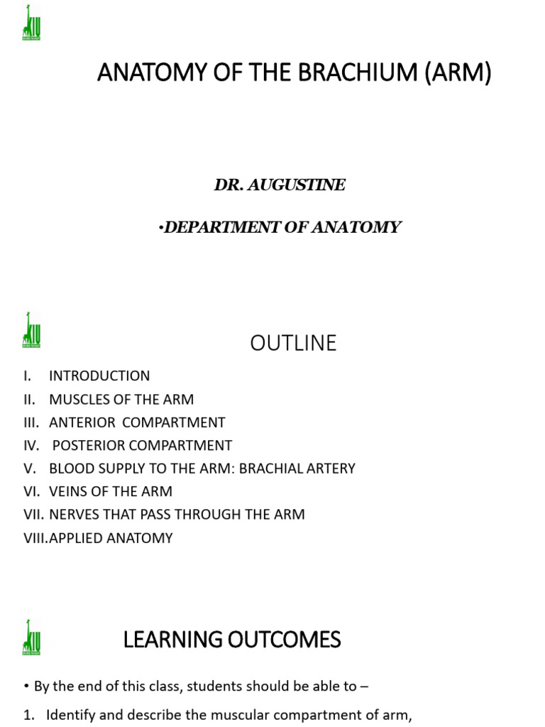 The Brachium-BMS 1.2 | PDF | Arm | Elbow