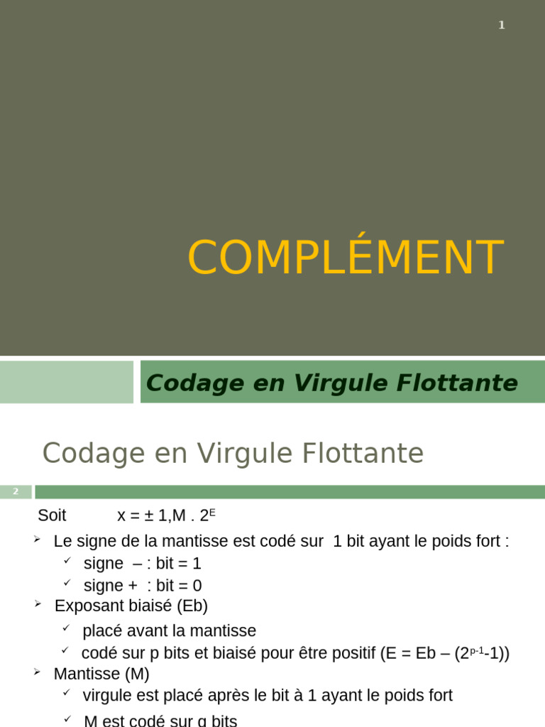 Chapitre 2 Complément Virgule Flottante | PDF