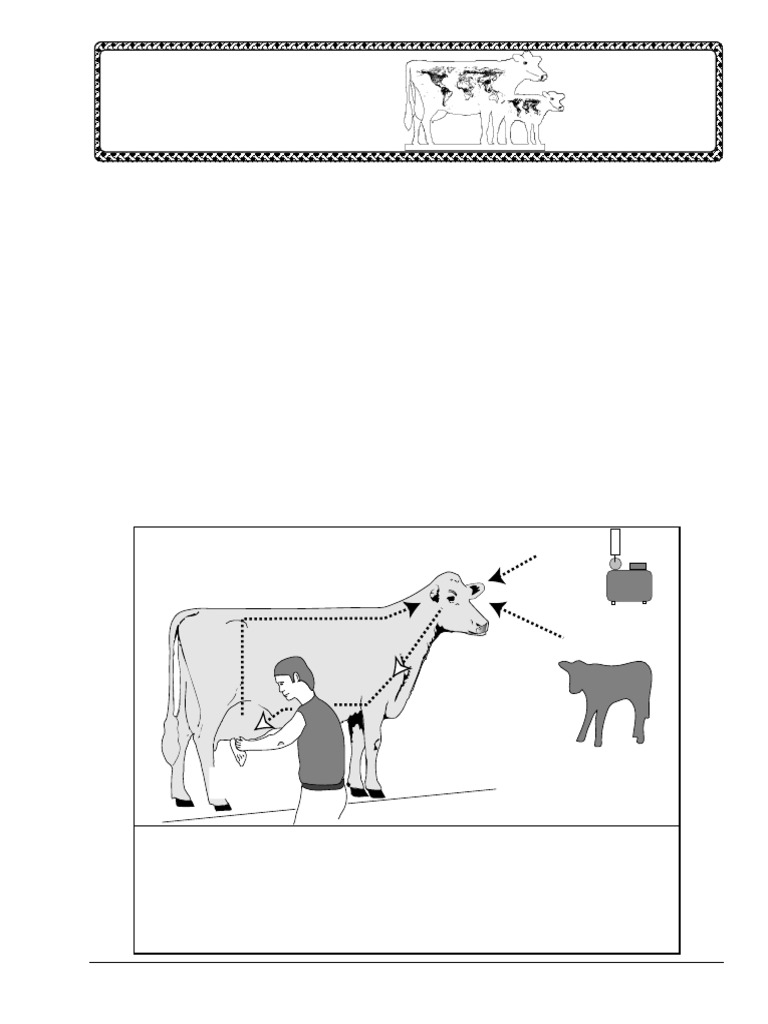 DASC 353 5.2 Milk Let Down Process | PDF | Lactation | Dairy