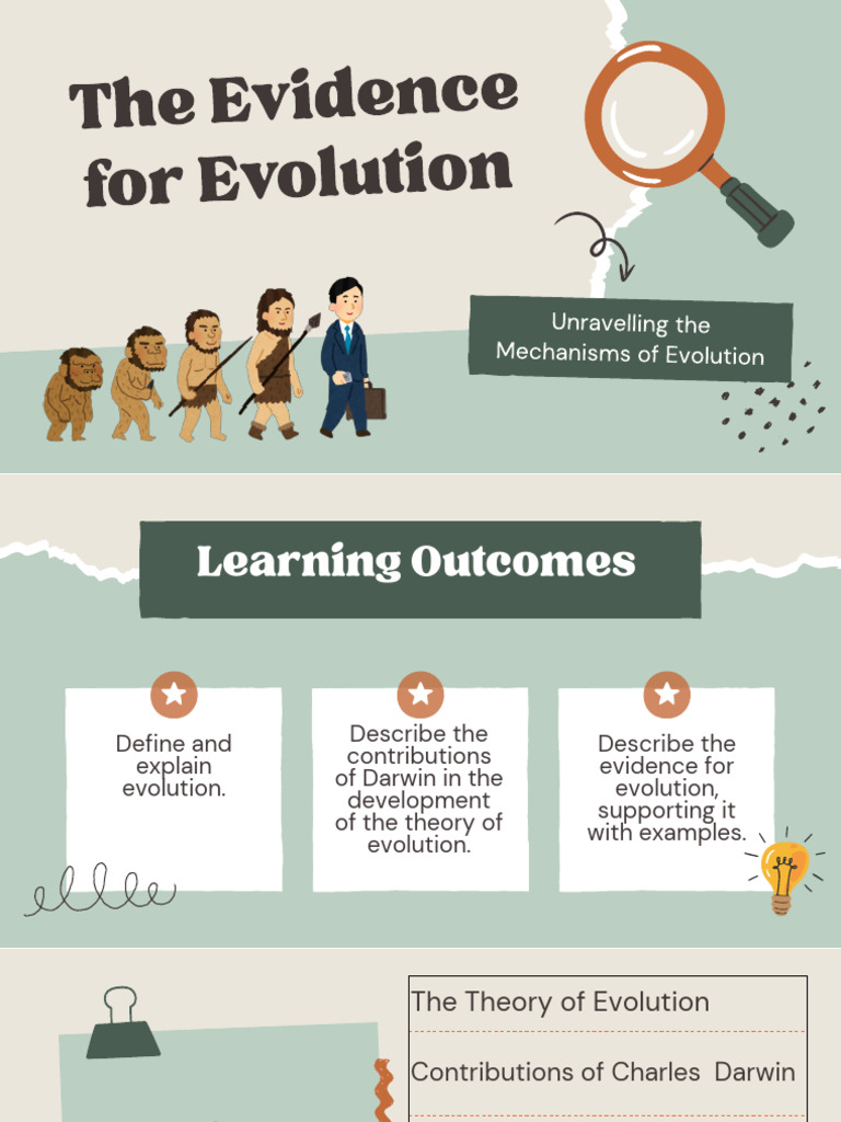 Evidences of Evolution | PDF | Evolution | Natural Selection