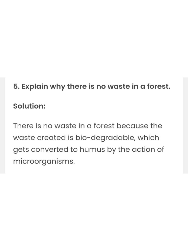 Science CH - 12 Questions 5 To 9 | PDF