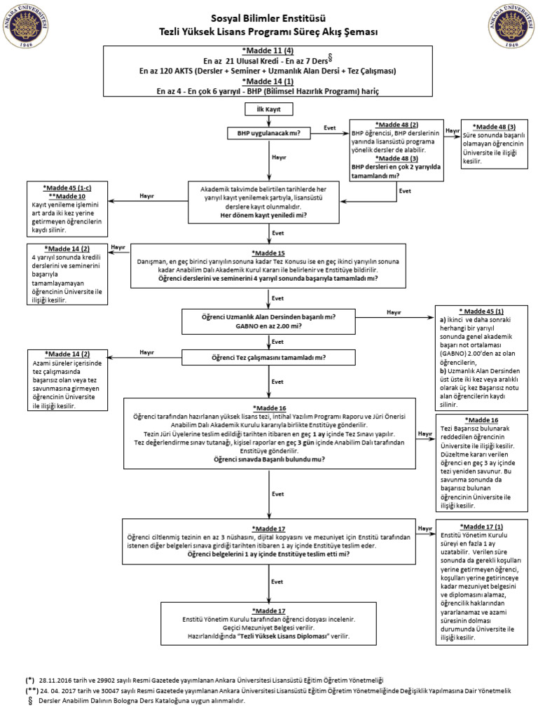 Tezli YL - Surec | PDF
