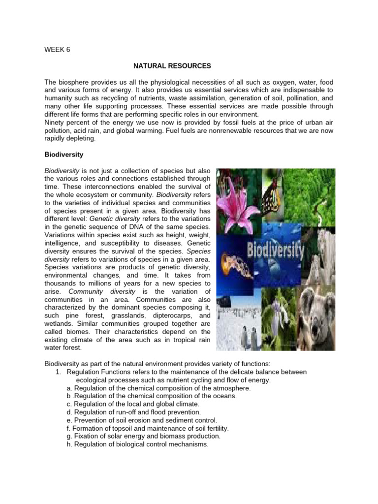 Natural Resources and Biodiversity Overview | PDF | Biodiversity ...