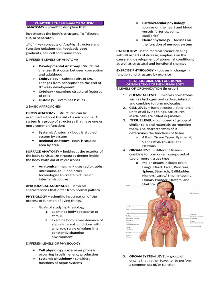 Chapter 1 The Human Organism | PDF | Human Body | Peritoneum