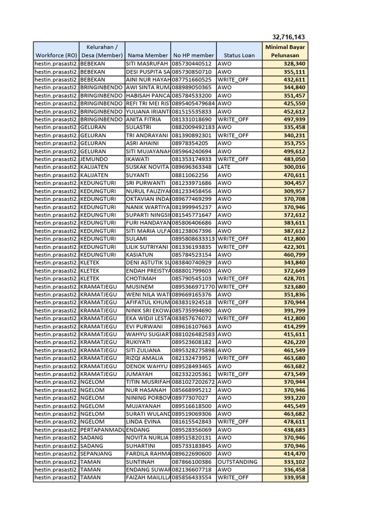Member Loan Status Report | PDF