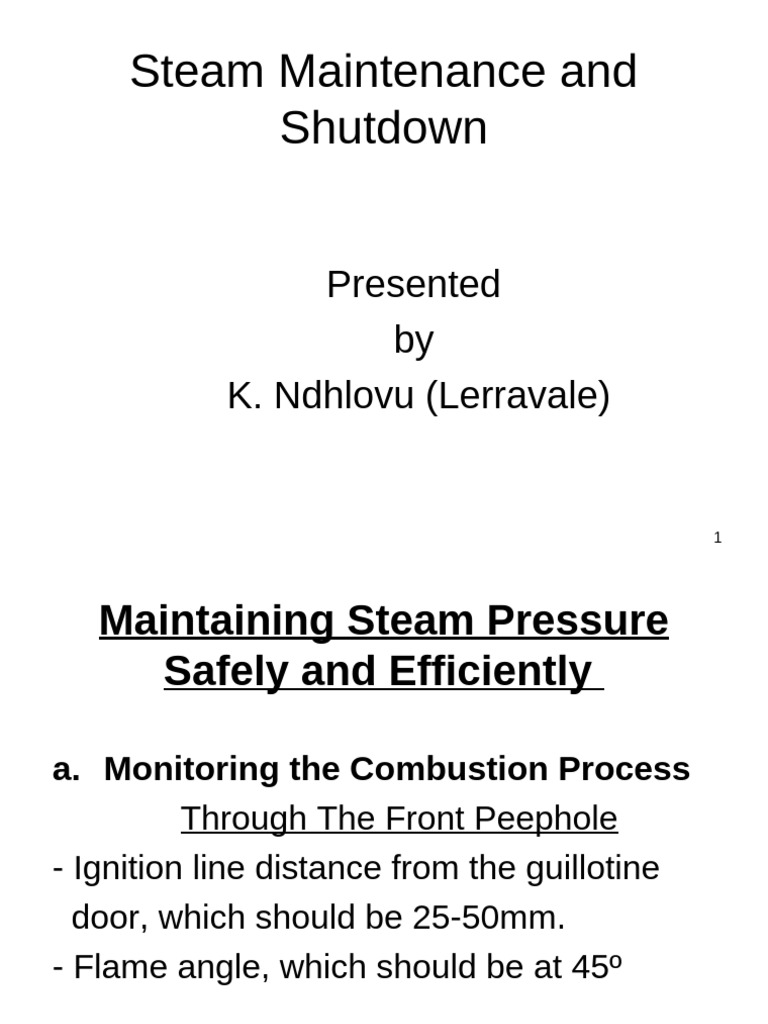 steam maintainance and shutdown | PDF