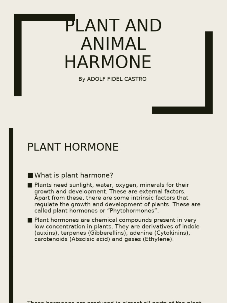 Bio Adolf Fidel Castro | PDF | Plant Hormone | Adrenal Gland