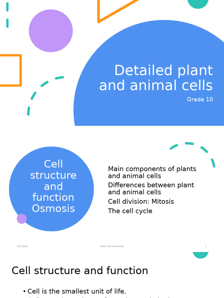 Grade 10 Cell and Mitosis | PDF | Endoplasmic Reticulum | Vacuole