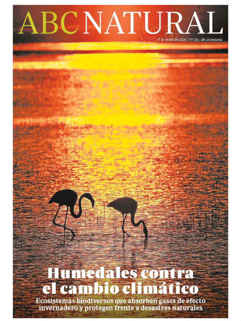 ABC Natural - 2020-01-18 | PDF