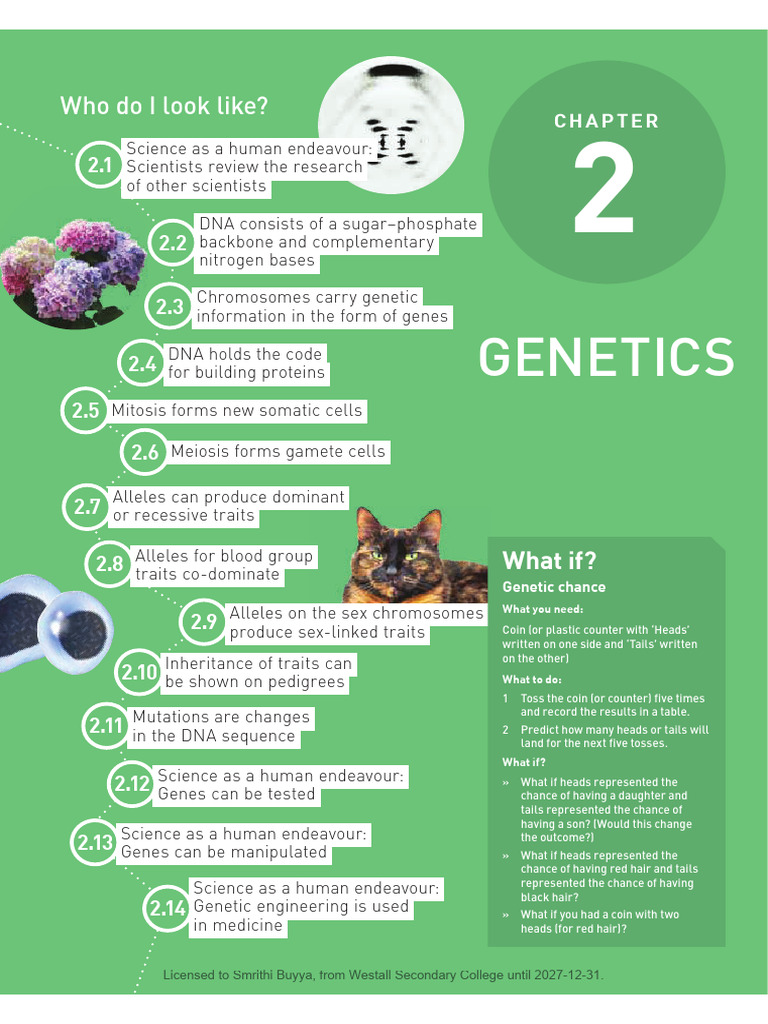 Y10_Chapter2_Genetics | PDF | Messenger Rna | Rna