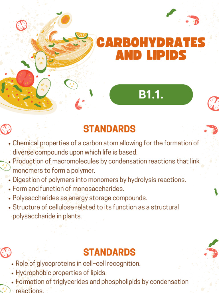 Carbohydrates and Lipids Overview | PDF | Polysaccharide | Fatty Acid