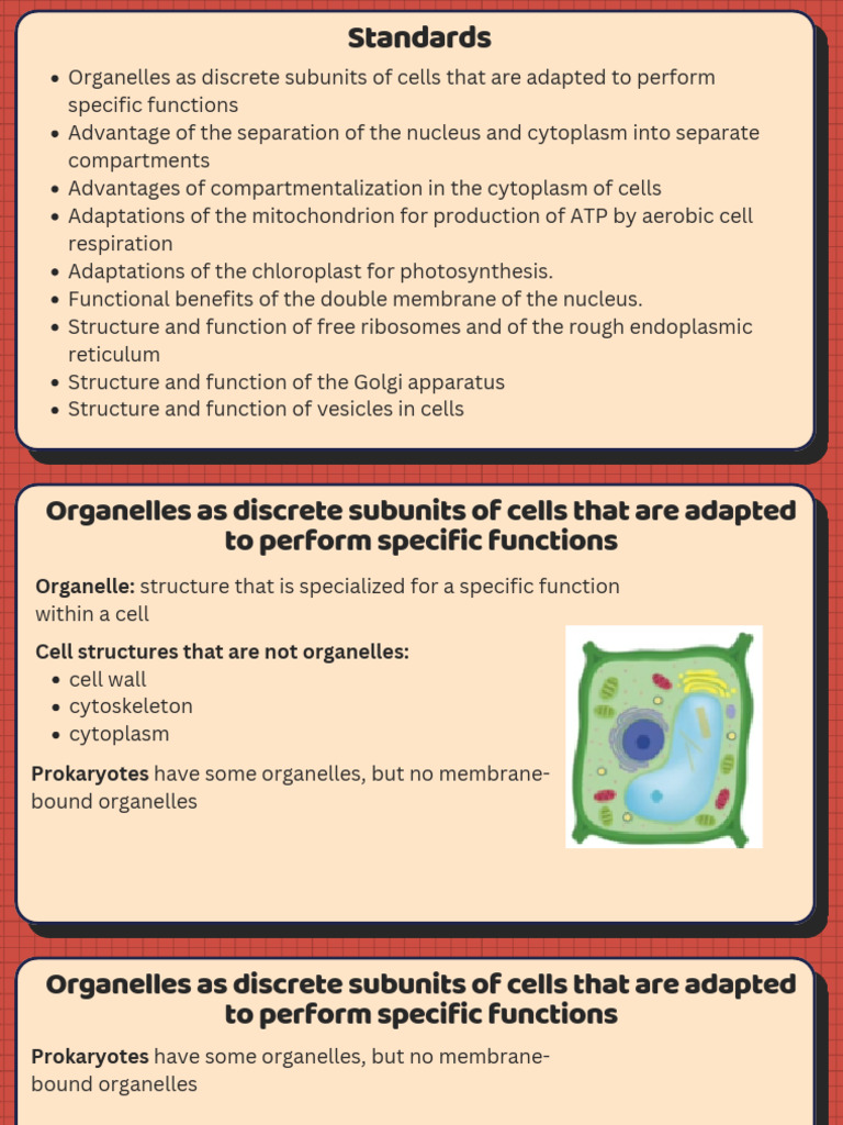 B2.2. Organelles and Compartmentalization | PDF | Organelle ...