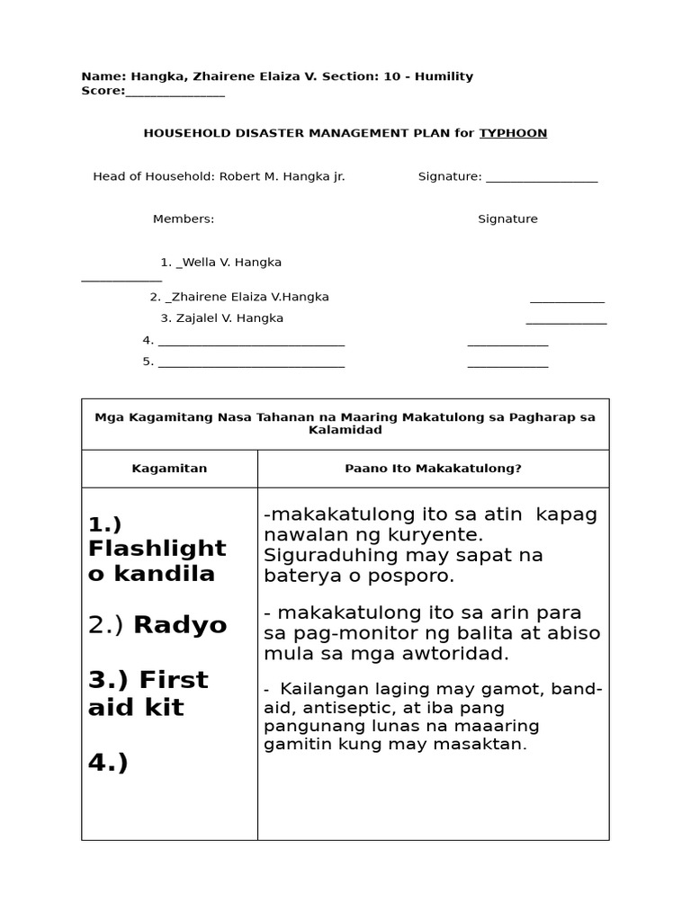 Household Disaster Management Plan For Typhoon | PDF