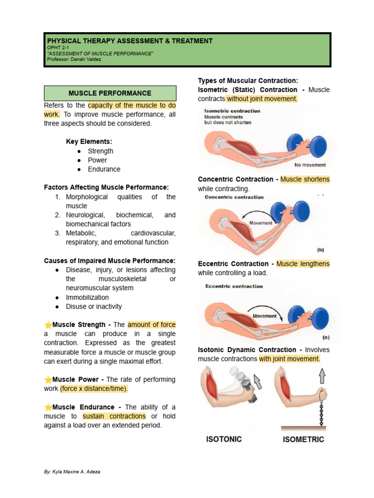 L1 ASSESSMENT OF MUSCLE PERFORMANCE | PDF | Skeletal Muscle | Muscle ...