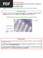 Structure des branchies des poissons | PDF | Branchie | Système ...