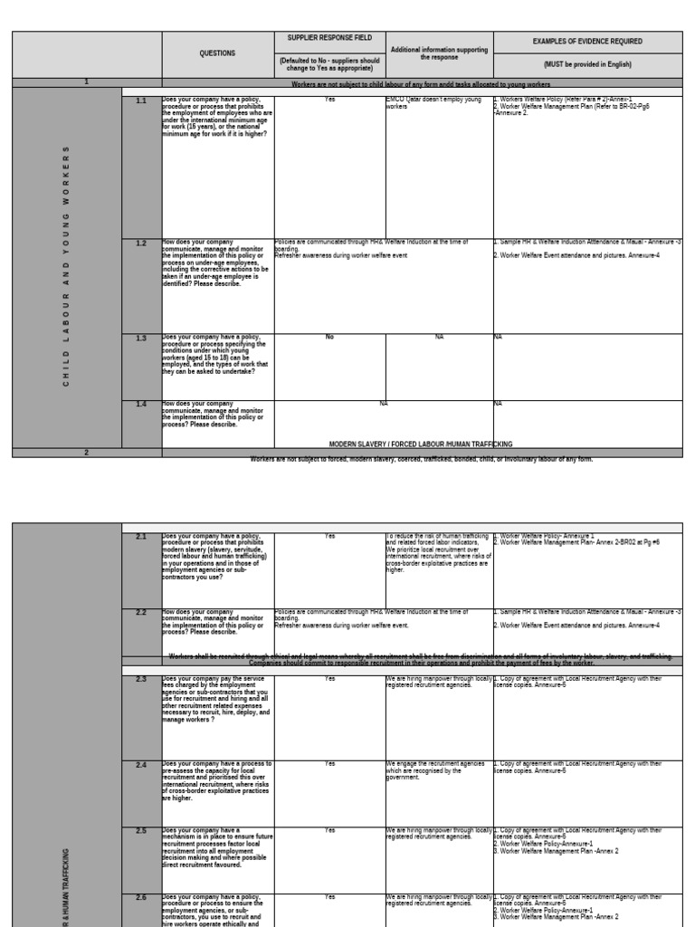 Cross Industry Human Rights Questionnaire | PDF | Employment ...