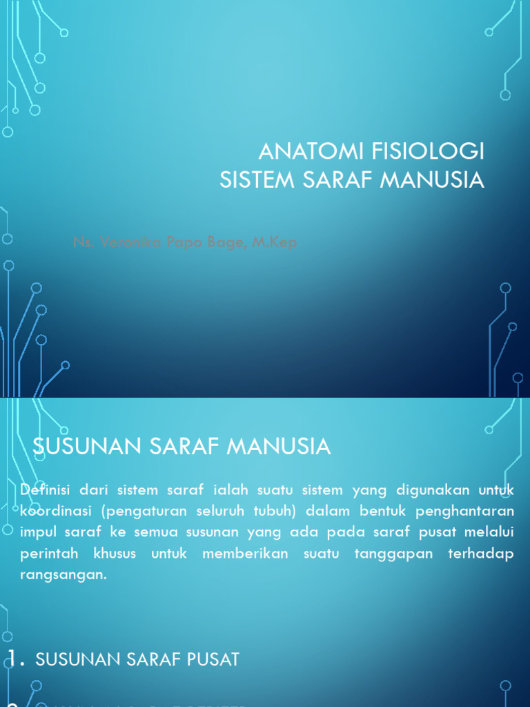 Sistem Saraf | PDF