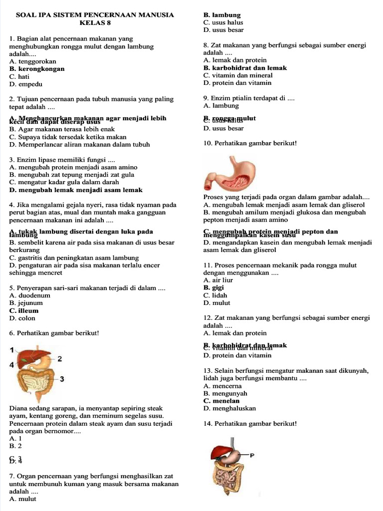 PDF Soal Ipa Sistem Pencernaan Manusia Kelas 8 Dan Jawaban - Compress | PDF