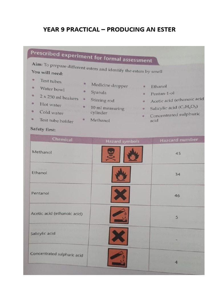 Year 9 Practical - Term 1 | PDF