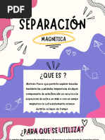 Método de Separación - Imantación | PDF | Imán | Magnetización
