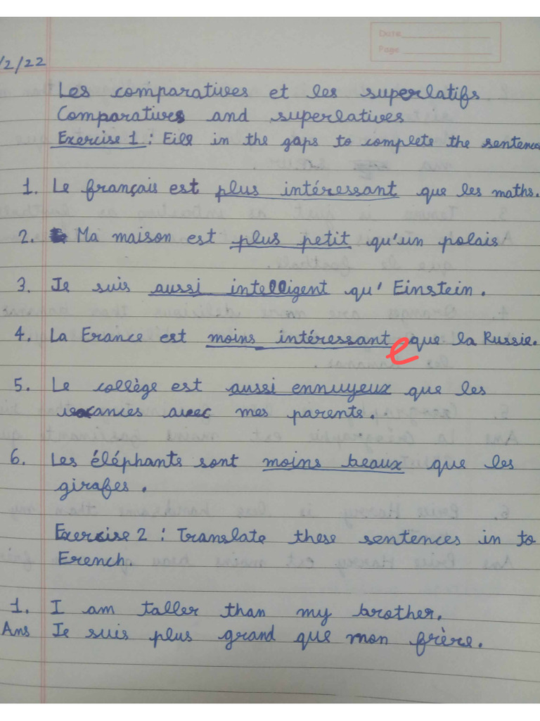 Edited - Parneet Singh BI-A French Assignment | PDF