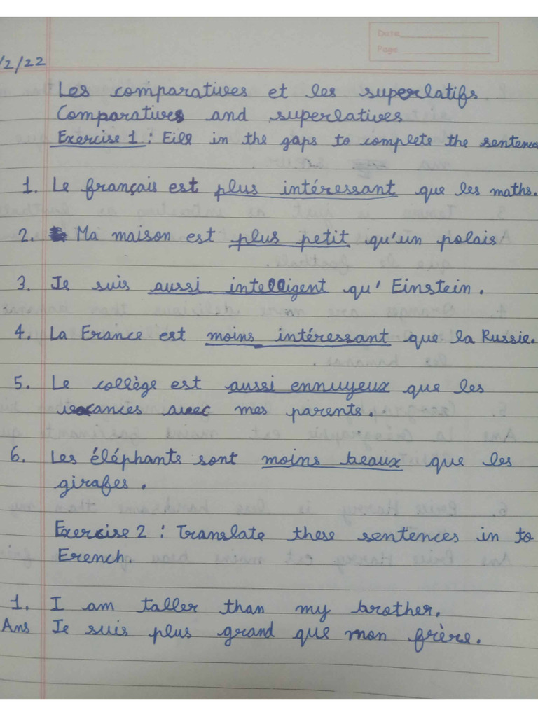 Parneet Singh BI-A French Assignment | PDF