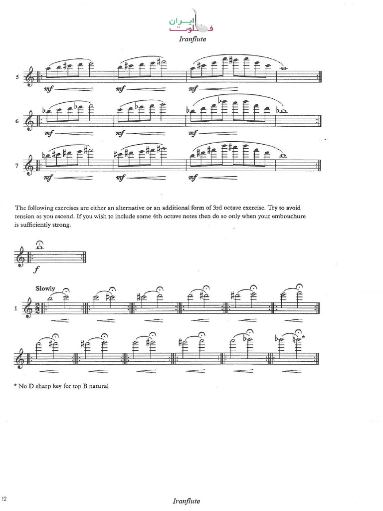 Flute 1 | PDF