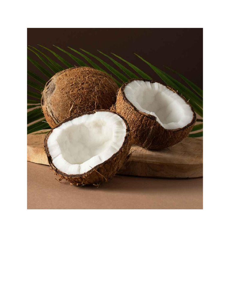 Coco | PDF