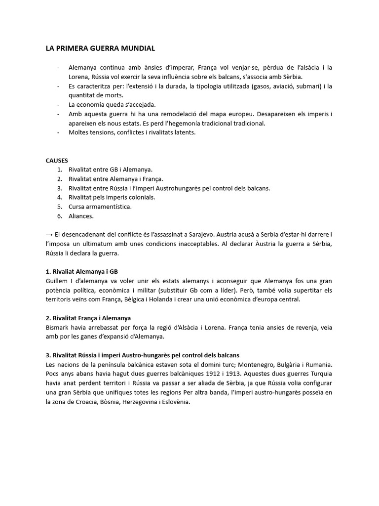 La Primera Guerra Mundial | PDF