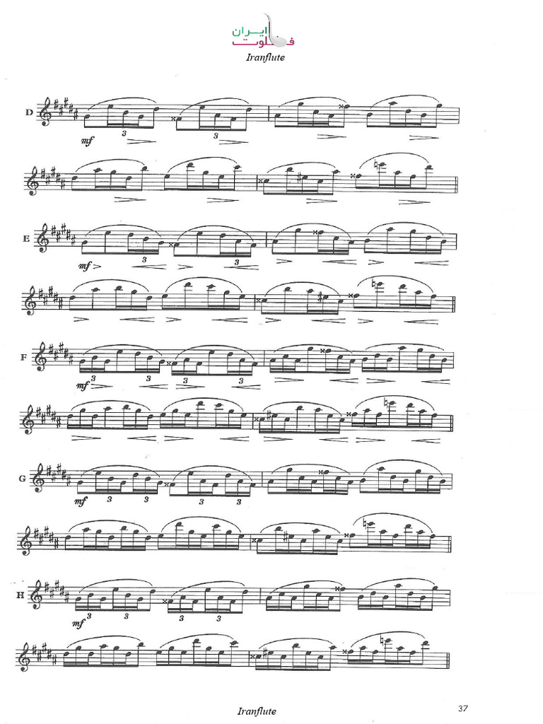 Iran Flute: Traditional Music Resources | PDF