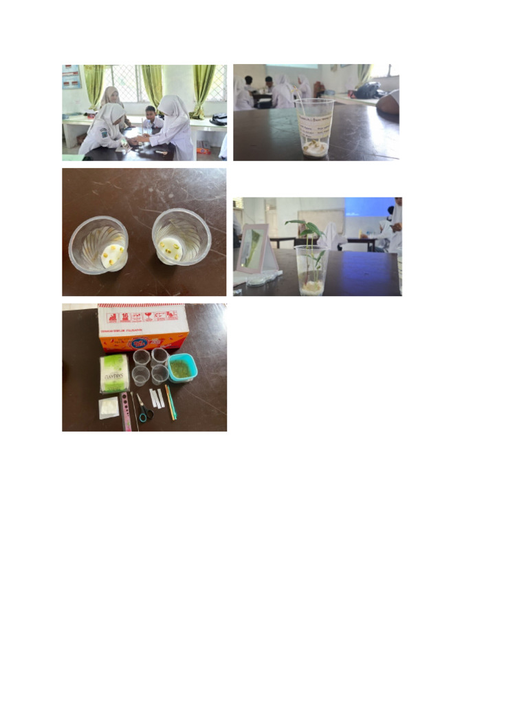 Bio 6 Praktikum | PDF