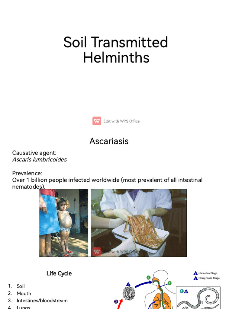 Soil Transmitted Helminths | PDF | Medical Specialties | Diseases And ...