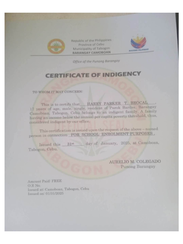 Certificate of Indigency | PDF