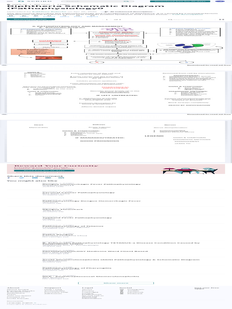 Diphtheria Pathophysiology Diagram | PDF | Scribd | Immunology
